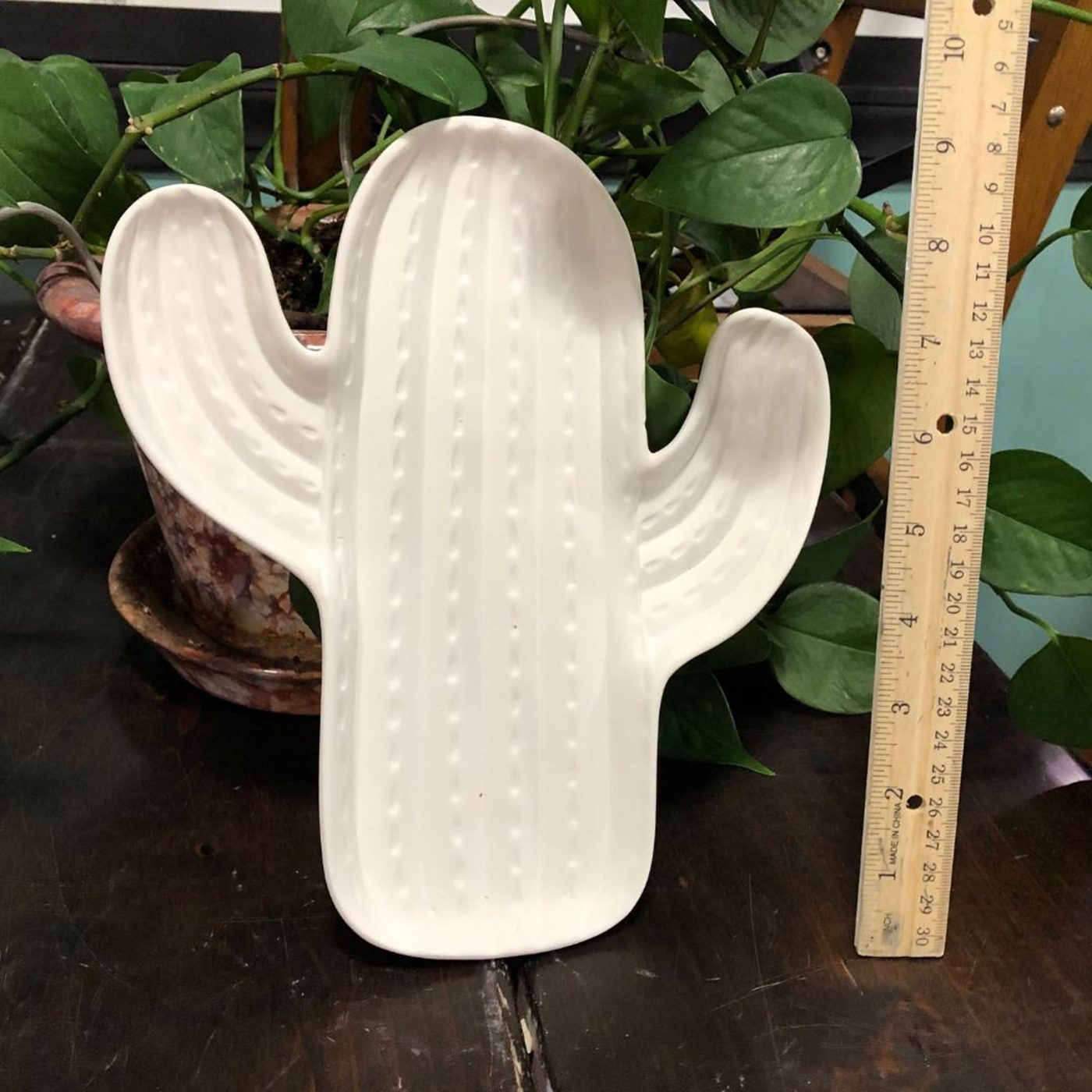 Large Cactus Plate - Alpaca Art