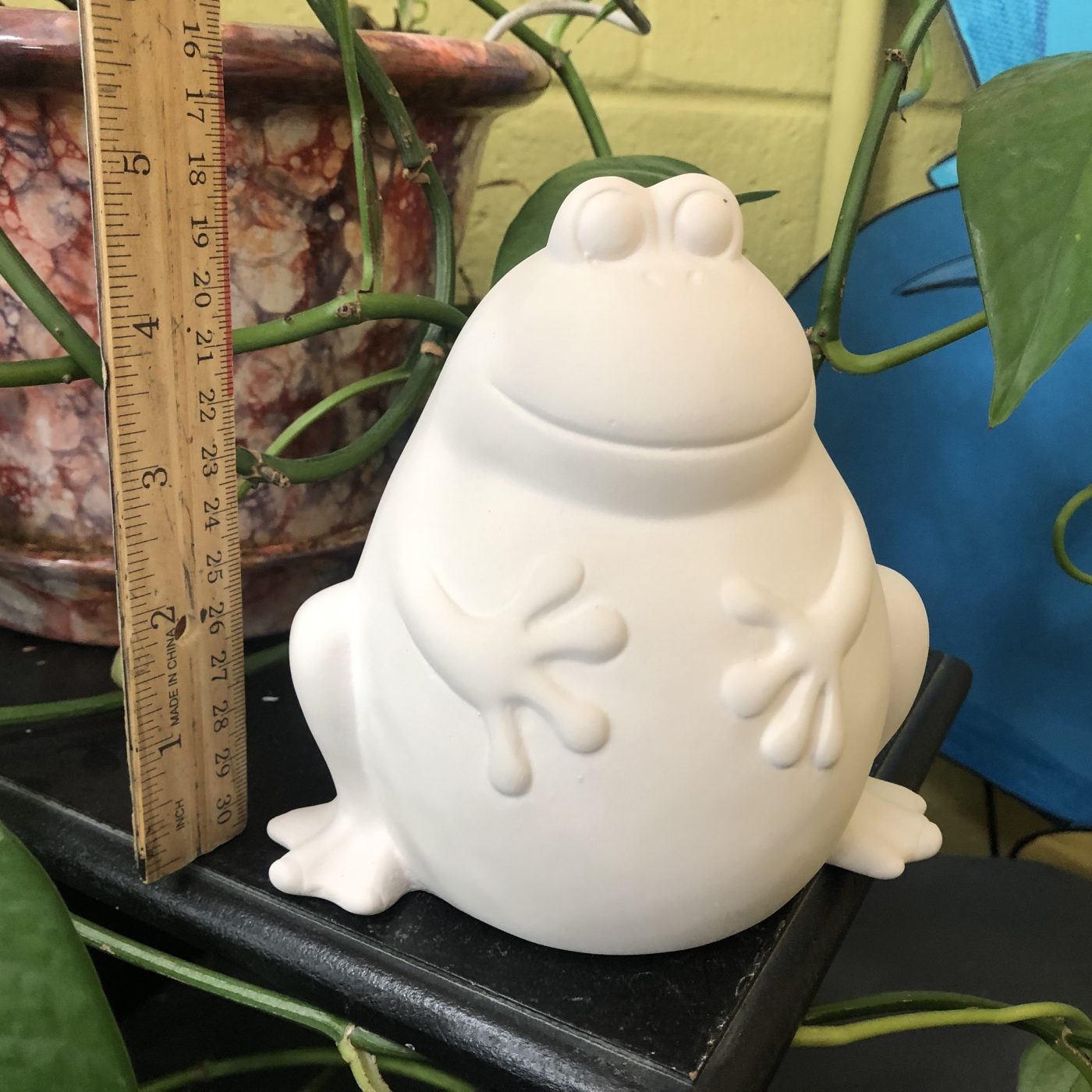 Frog Bank - Alpaca Art