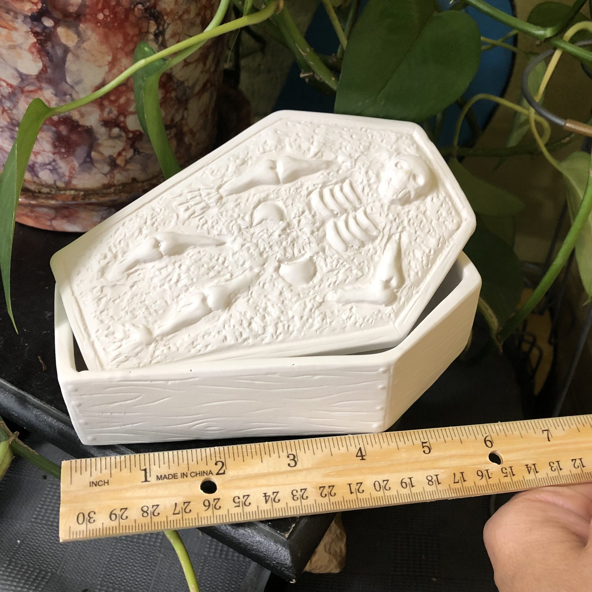 Skeleton Box - Alpaca Art